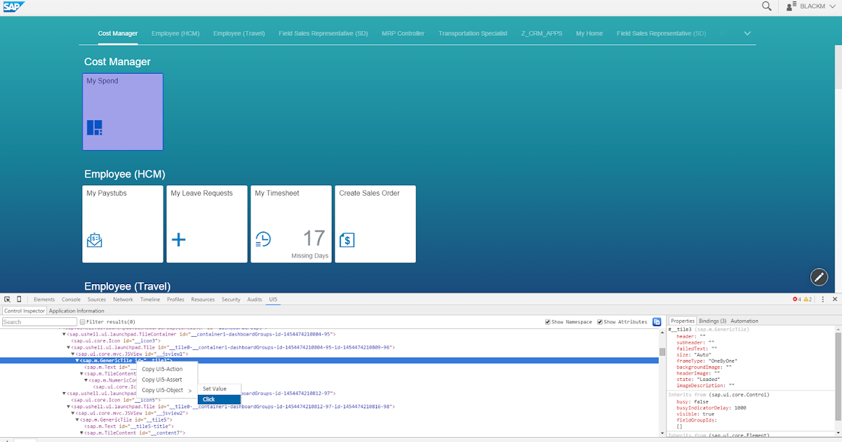 Sap Ui5 Automation Sap Online Guides