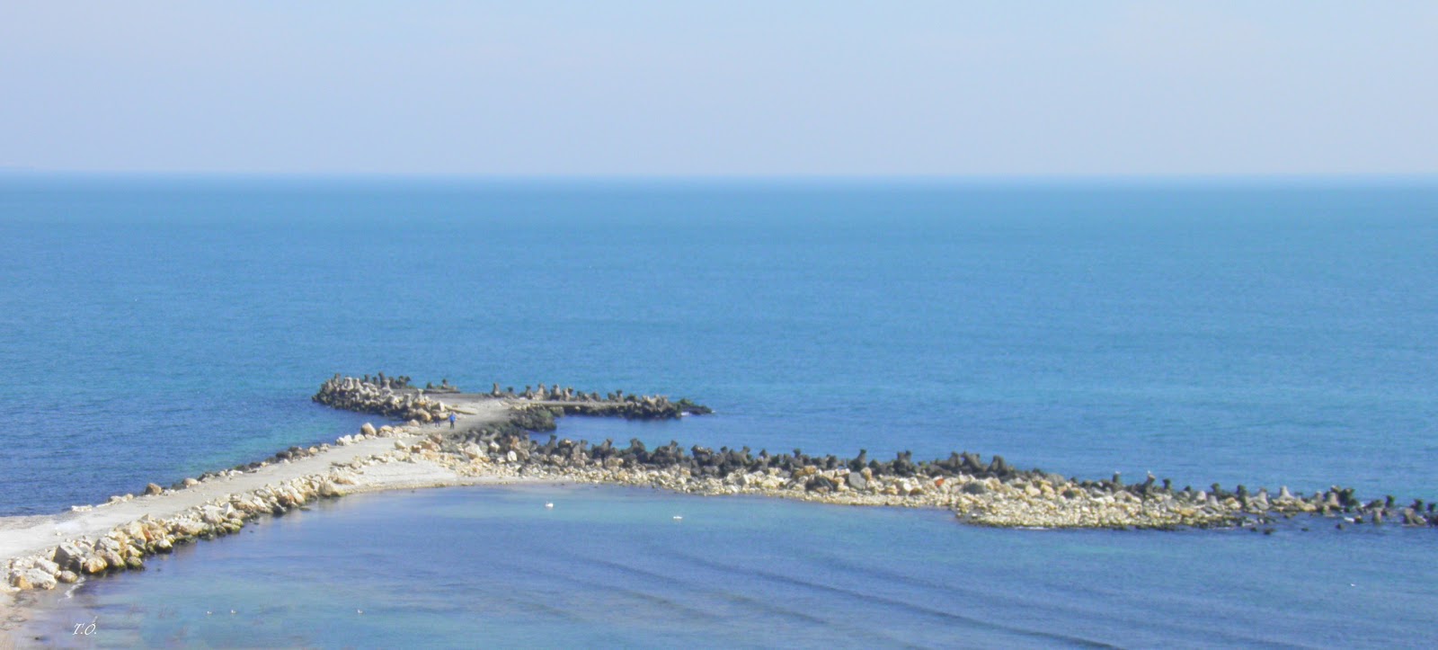 PASARI DIN ROMANIA: CODROS DE MUNTE (2), Phoenicurus ochruros