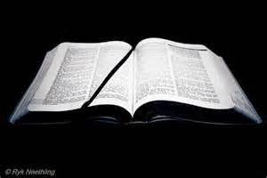 The Way of the Righteous ~ Psalm 1