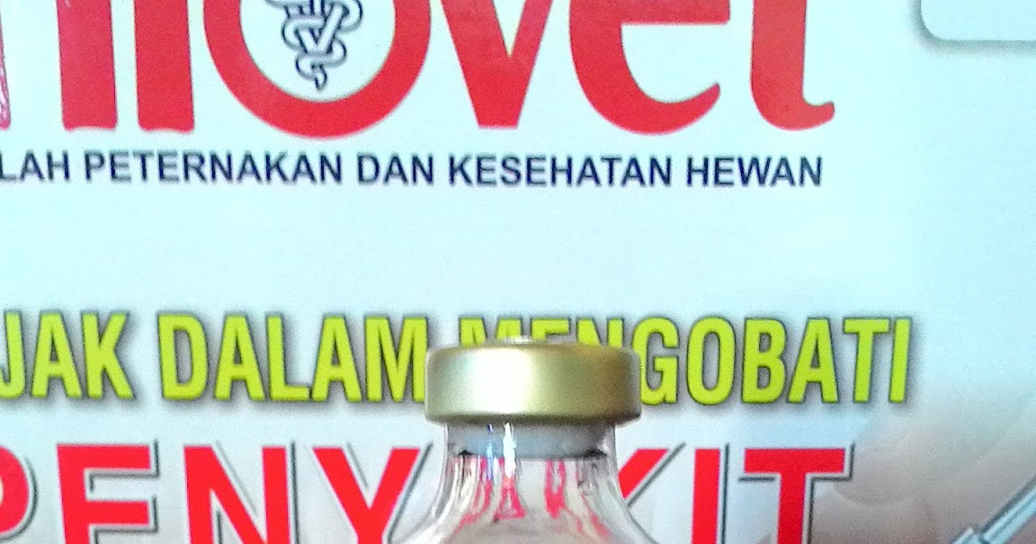 XYLA Premedikasi Anastesi Umum dan Penenang - OBAT HEWAN UNGGUL