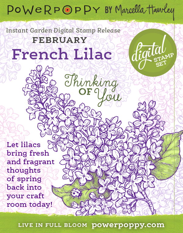 Twinshappy: Thinking about Lilacs you say...