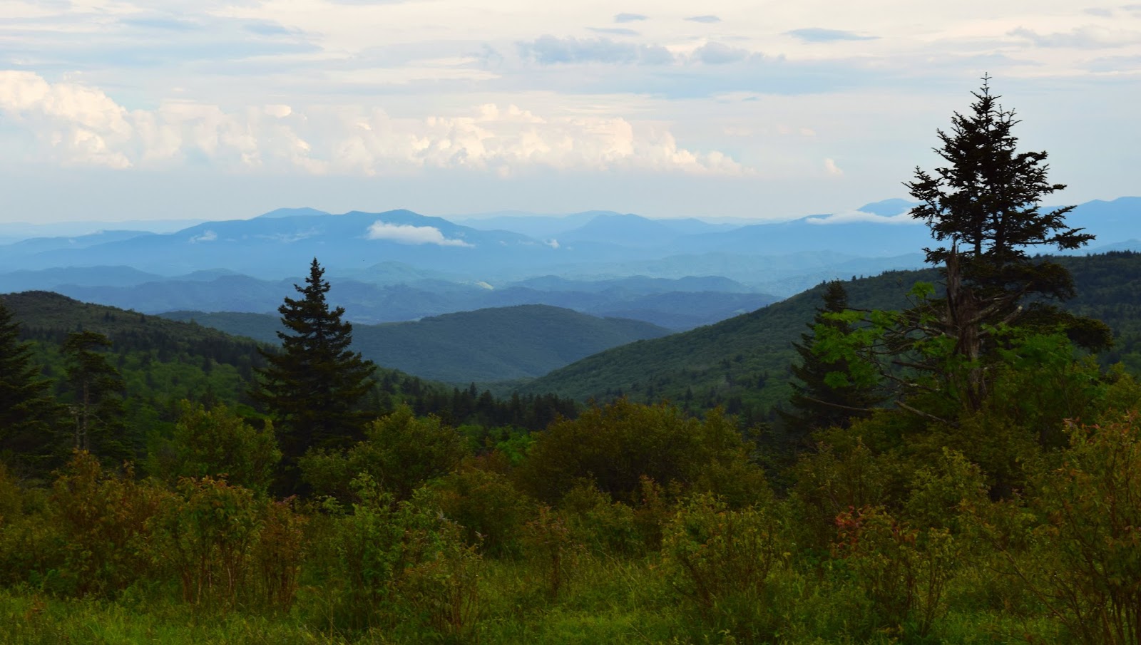Appalachian Love: Backpacking In Mount Rogers National Recreation Area ...