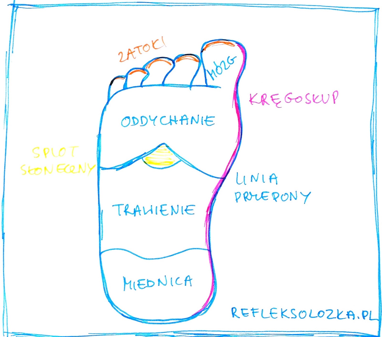 REFLEKSOTERAPIA - przez stopy do zdrowia: 2015