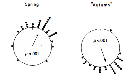 Avian Navigation: Navigation by the sky