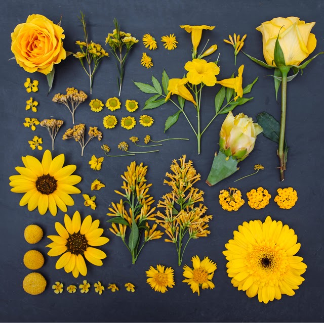 lovers of mint : blog déco bohème et cool lifestyle