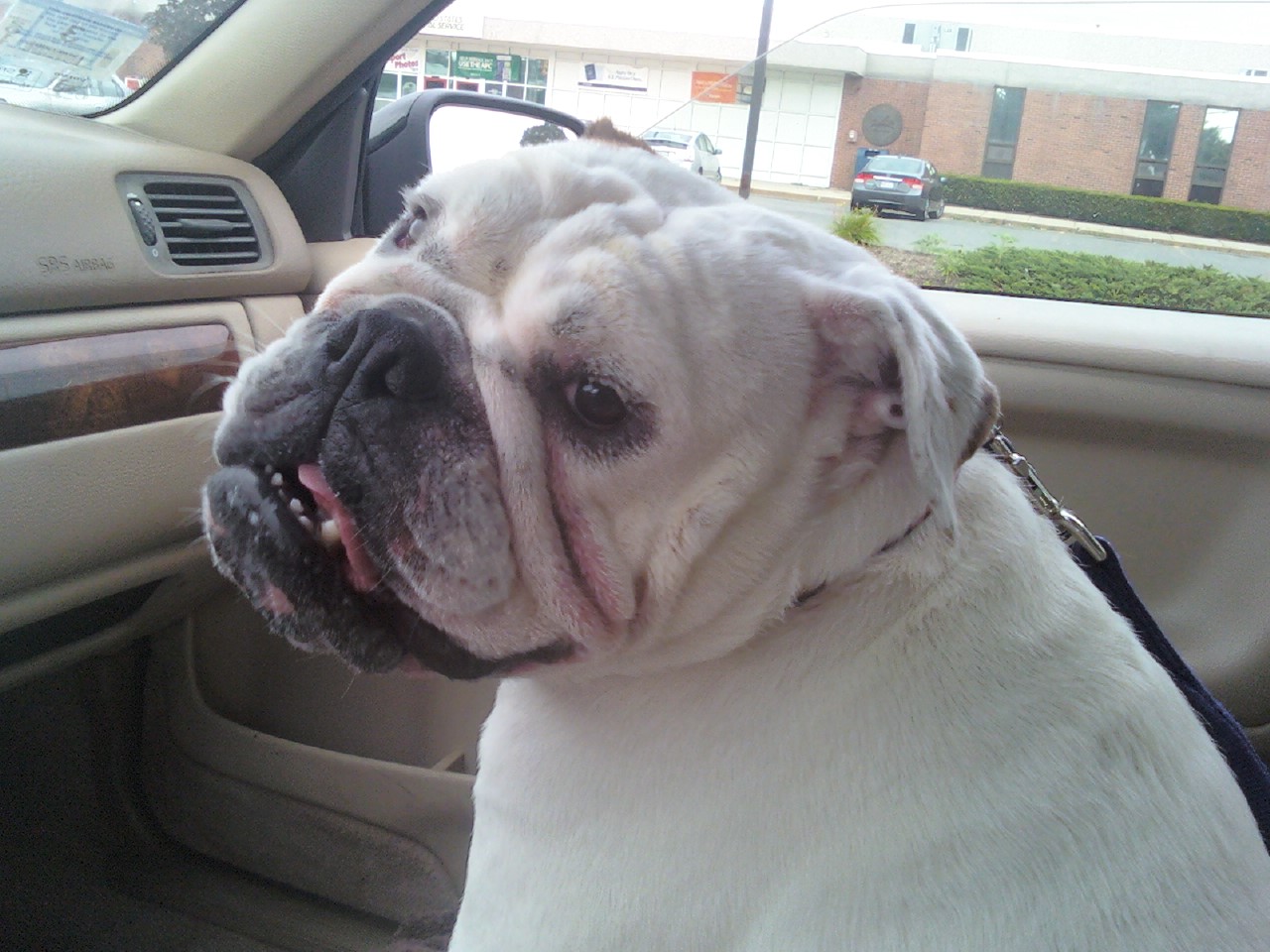 Regis College BSN/MSN Nurse Practitioner Student: A Year in the Life