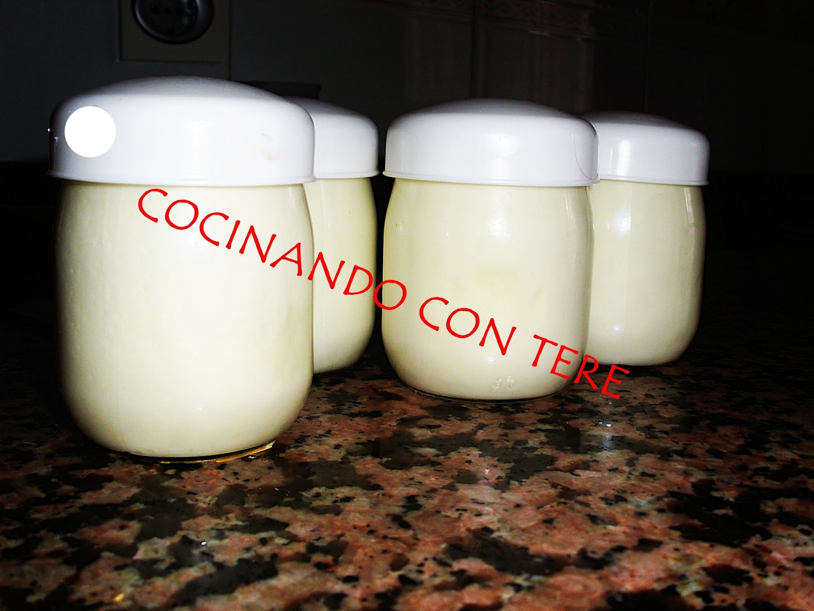 COCINANDO CON TERE: ¡¡YOGURES NATURALES CASEROS!!