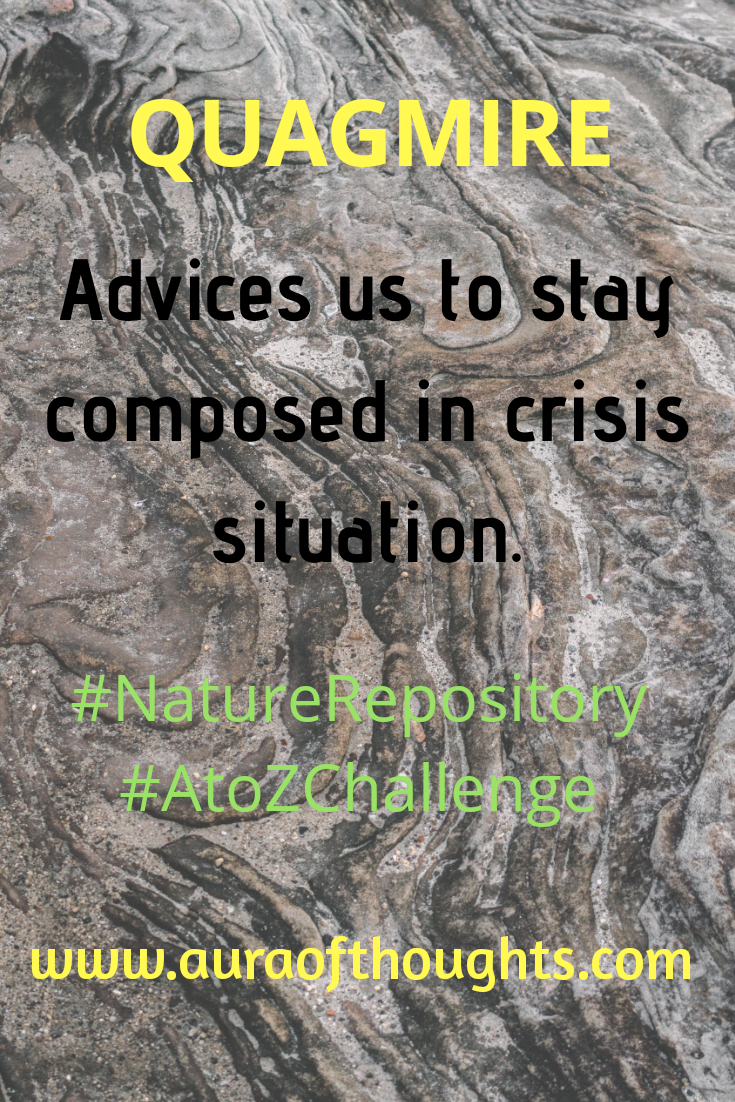 Aura Of Thoughts: Q - QUAGMIRE - Lessons from #NatureRepository