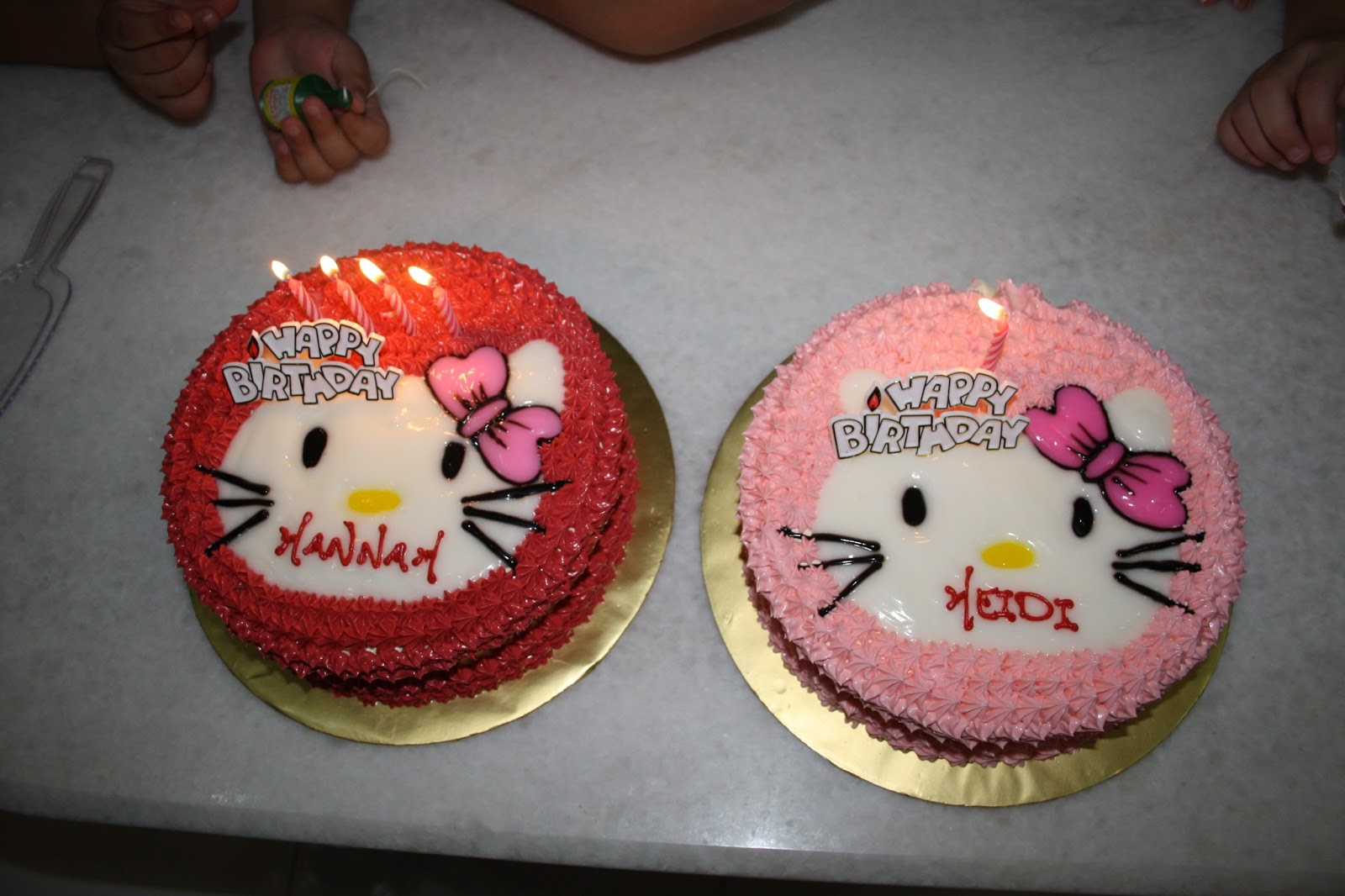 Our Little Princesses: Heidi's birthday party(ies)