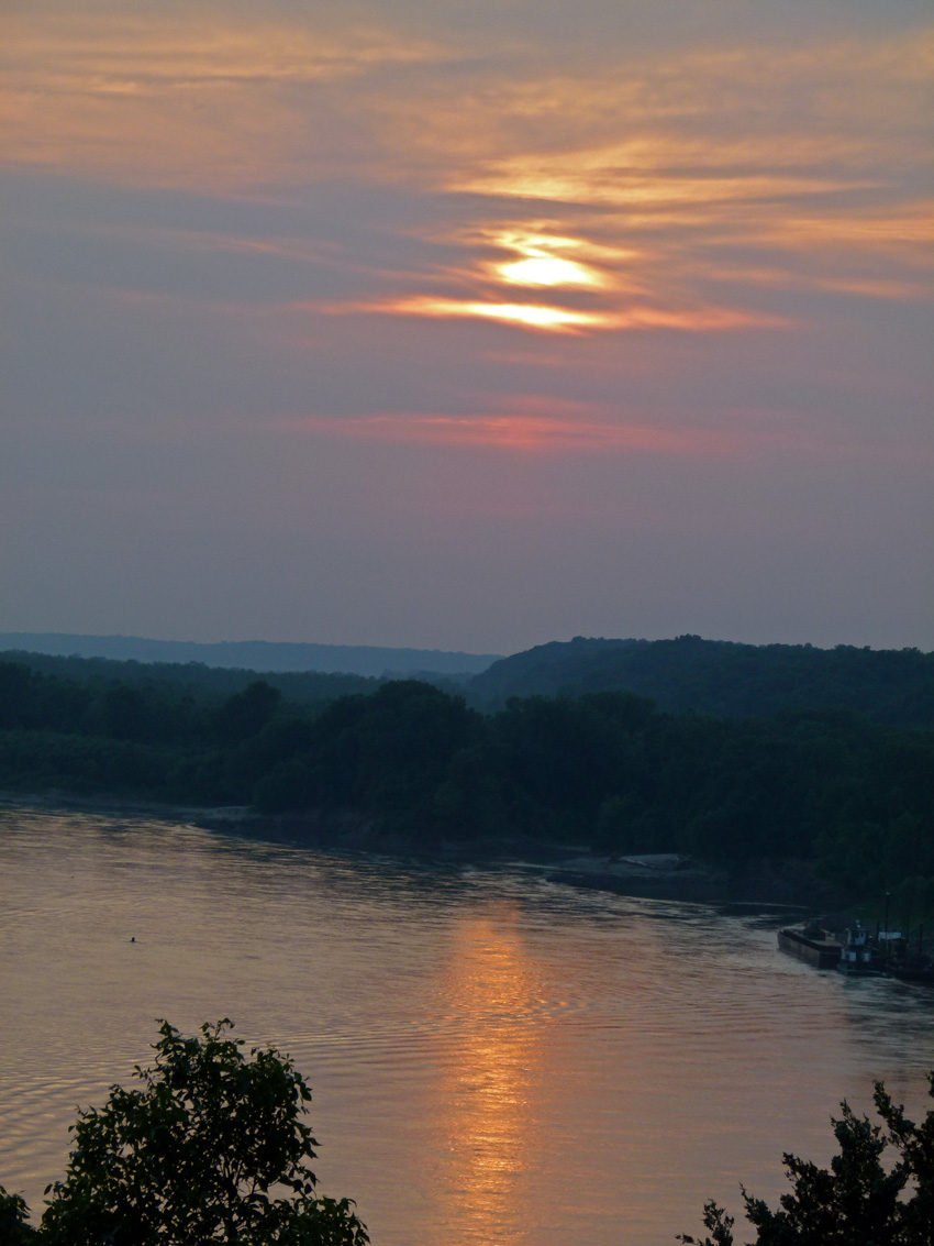 Life, Birding, Photos and Everything: Night of the Nighthawk