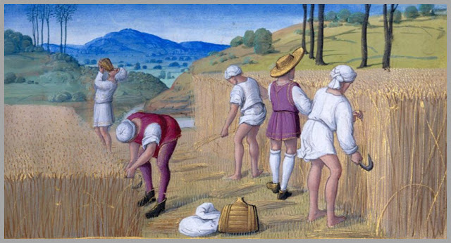 S T R A V A G A N Z A: BASIC FEATURES OF THE AGRARIAN SYSTEM OF THE ...