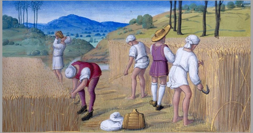 S T R A V A G A N Z A: BASIC FEATURES OF THE AGRARIAN SYSTEM OF THE ...