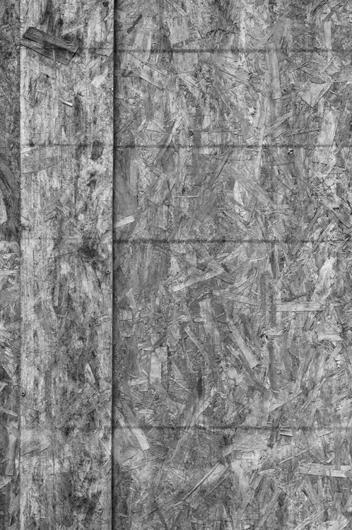 travis markel [photographer]