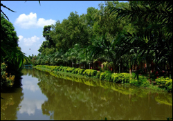 Indian Travel Directory: Rasulpur