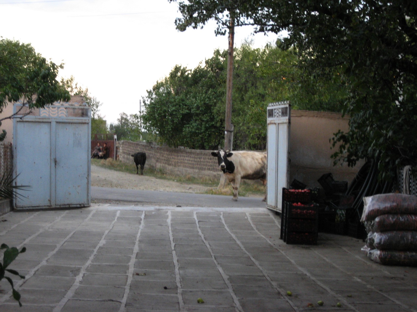 Living Rootless: Three Years Ago Today: I went rootless