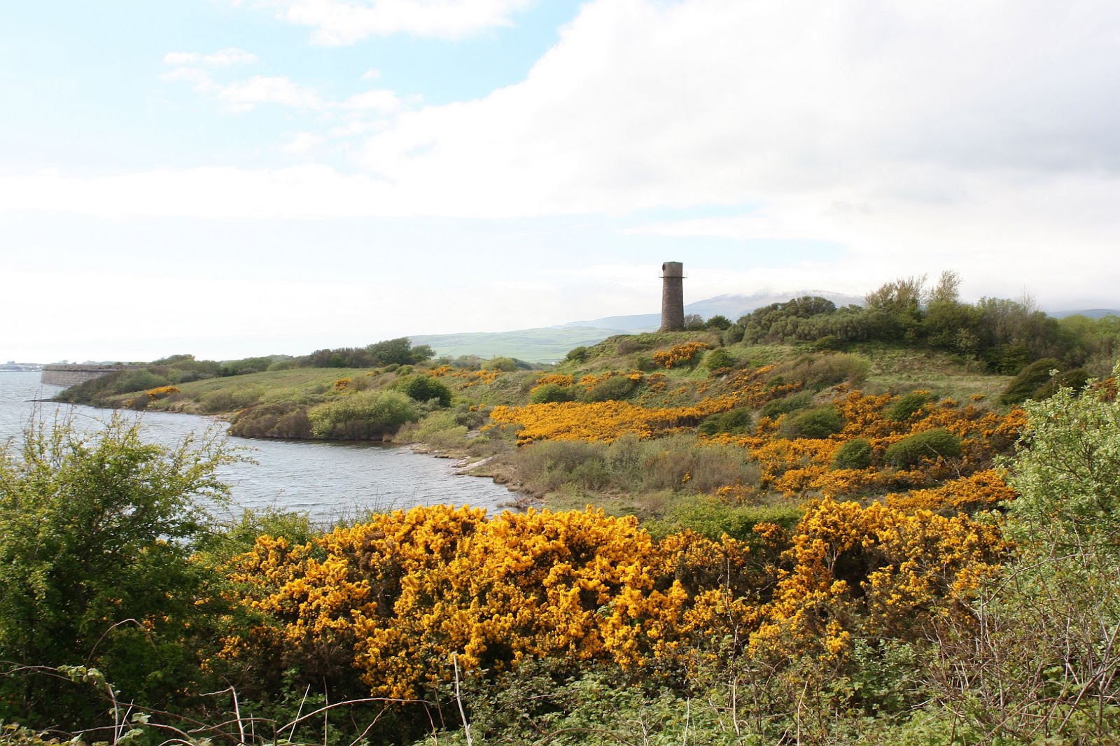 Written Wanderings about the Suburban Fringe: RSPB Hodbarrow, or The ...
