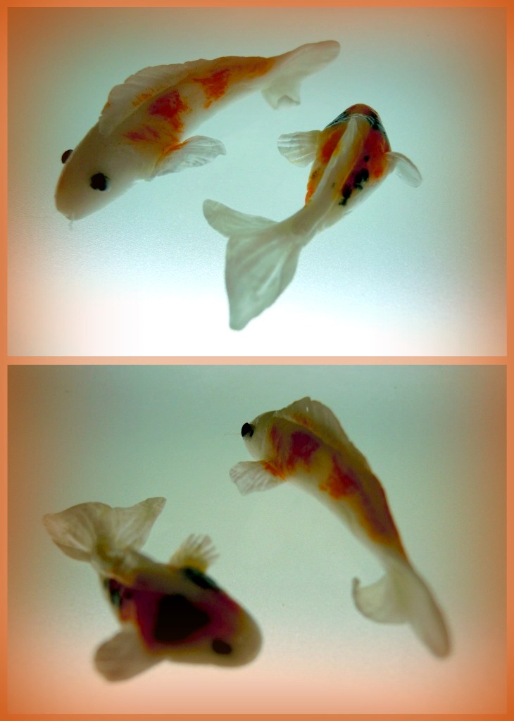 Wellajoy's Miniature: Koi Fish with Videos