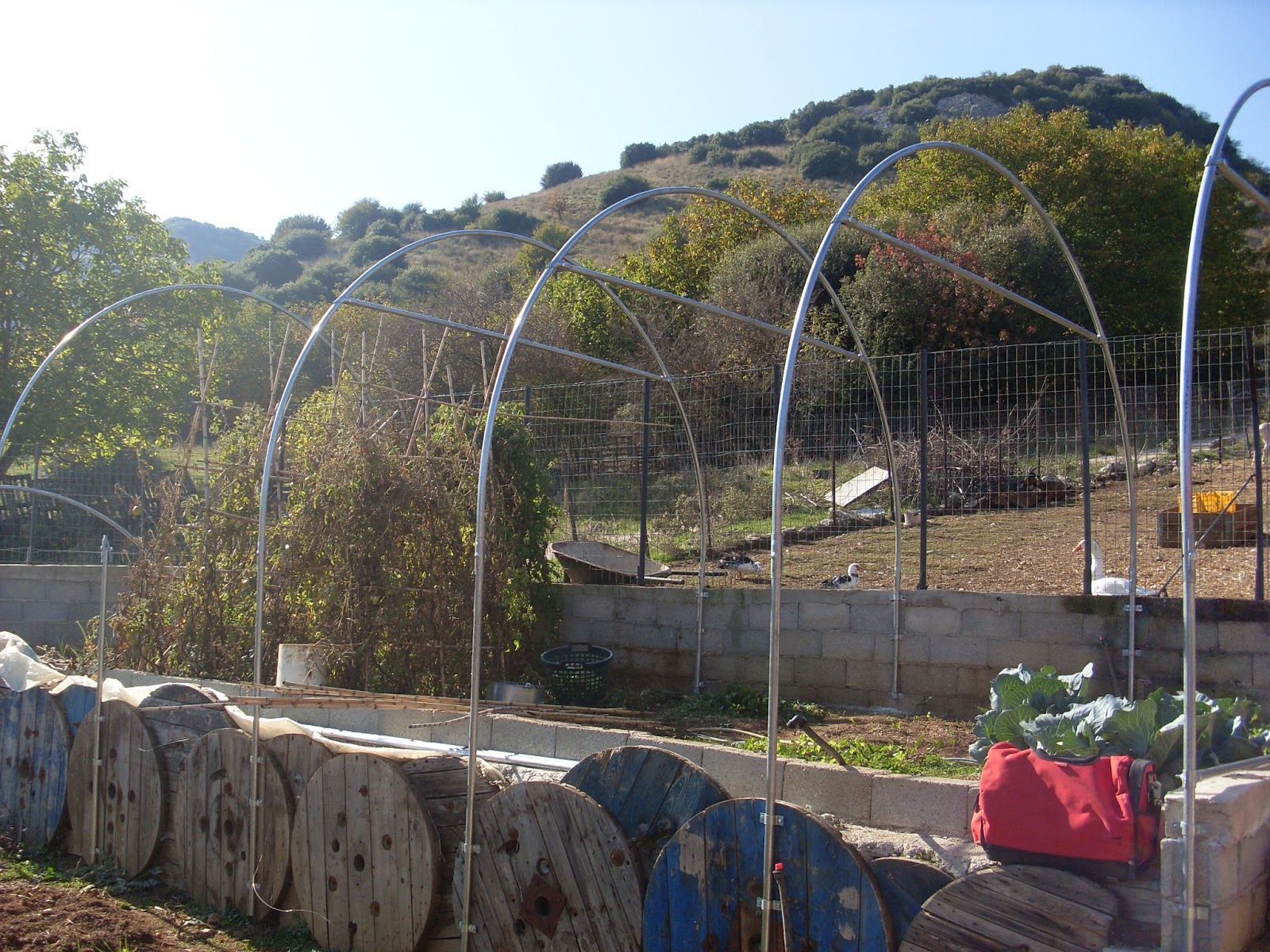 Αγροσελίδα: Κατασκευή θερμοκηπίου