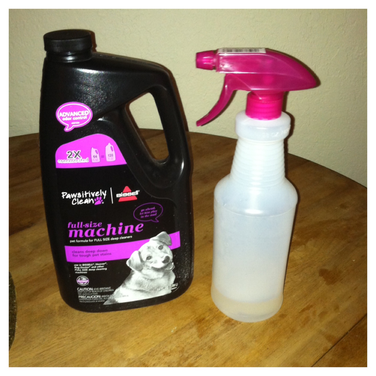 Be you Unique Easy DIY Carpet Cleaner For Pet Stains