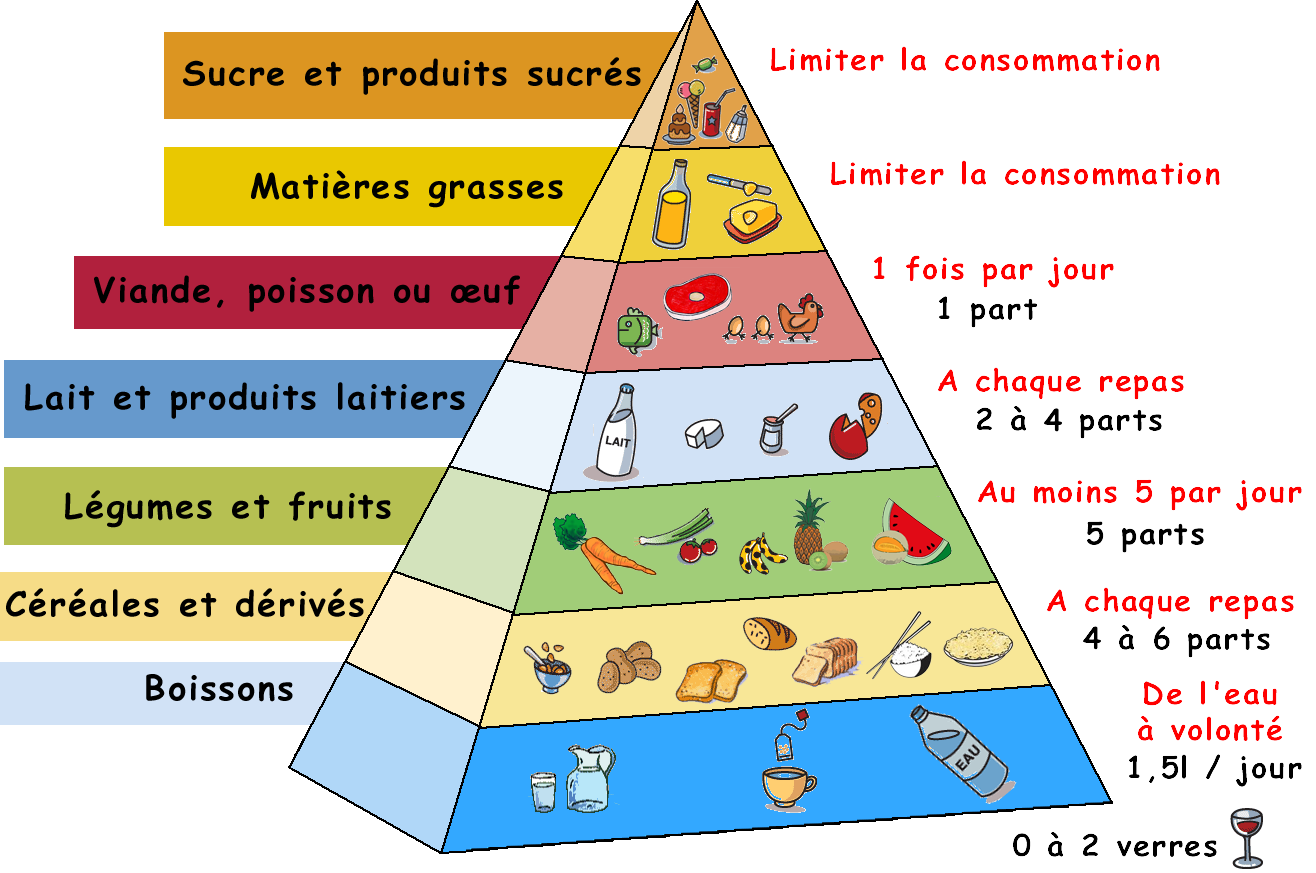 Carences alimentaires et Maladies de surnutrition