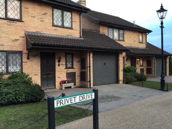 Mrs Black's This n That: Number 4 Privet Drive