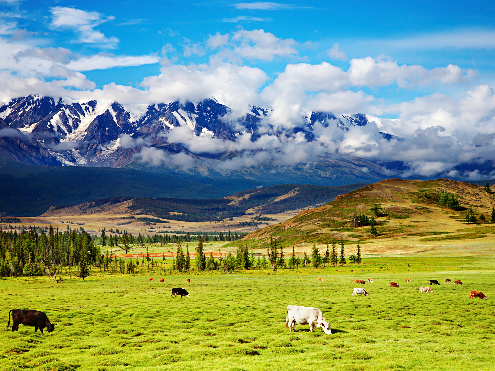 Western Spring wallpaper – Republicans to Drain the Middle-class – The ...