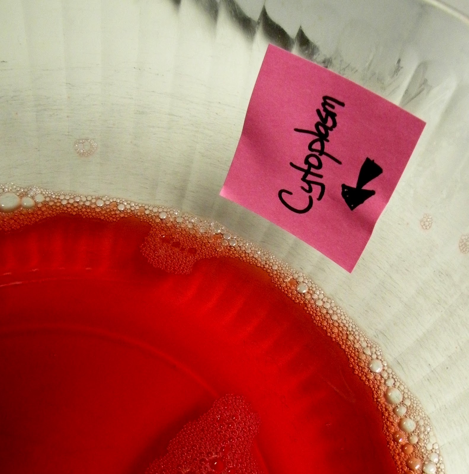 The Fantastic Five: Jello Animal Cell