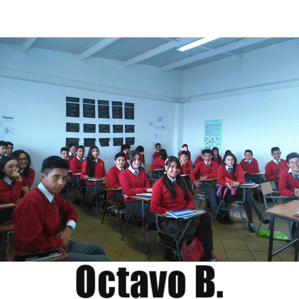 Colegio José Manuel Marroquín: Cursos Octavo A y Octavo B