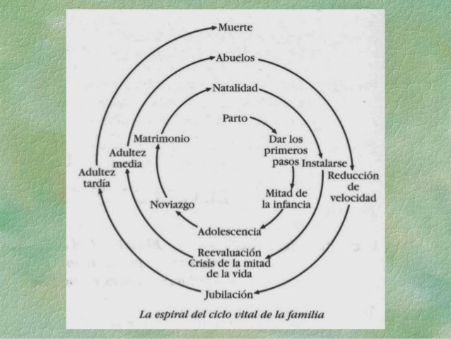 Crecimiento Humano: ESPIRAL DEL CICLO DE LA FAMILIA