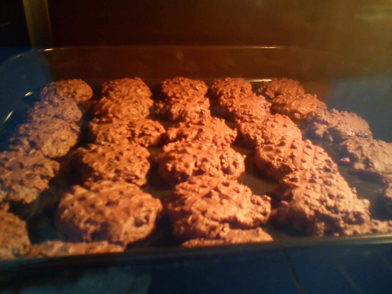 eqinHomecooking: BISKUT COKLAT CHIP