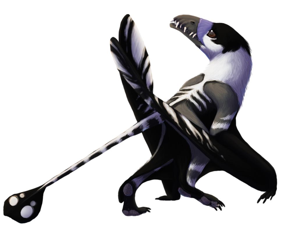 Blog de la Vida Prehistórica: Los primeros Pterosaurios