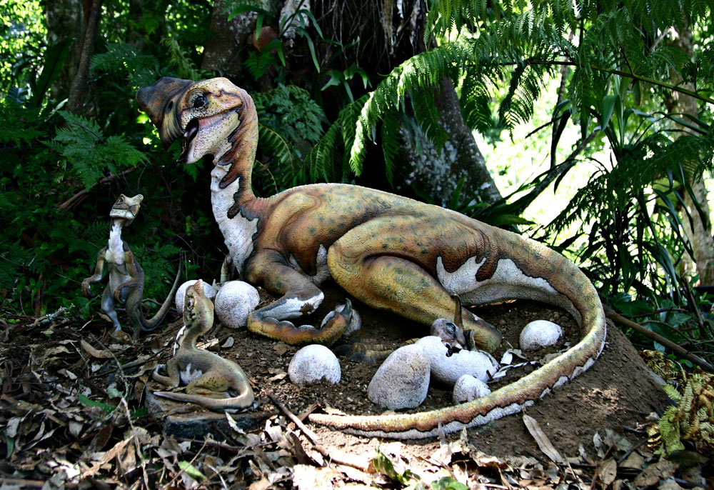 Dinossauros Em Volta Do Mundo: Oviraptor