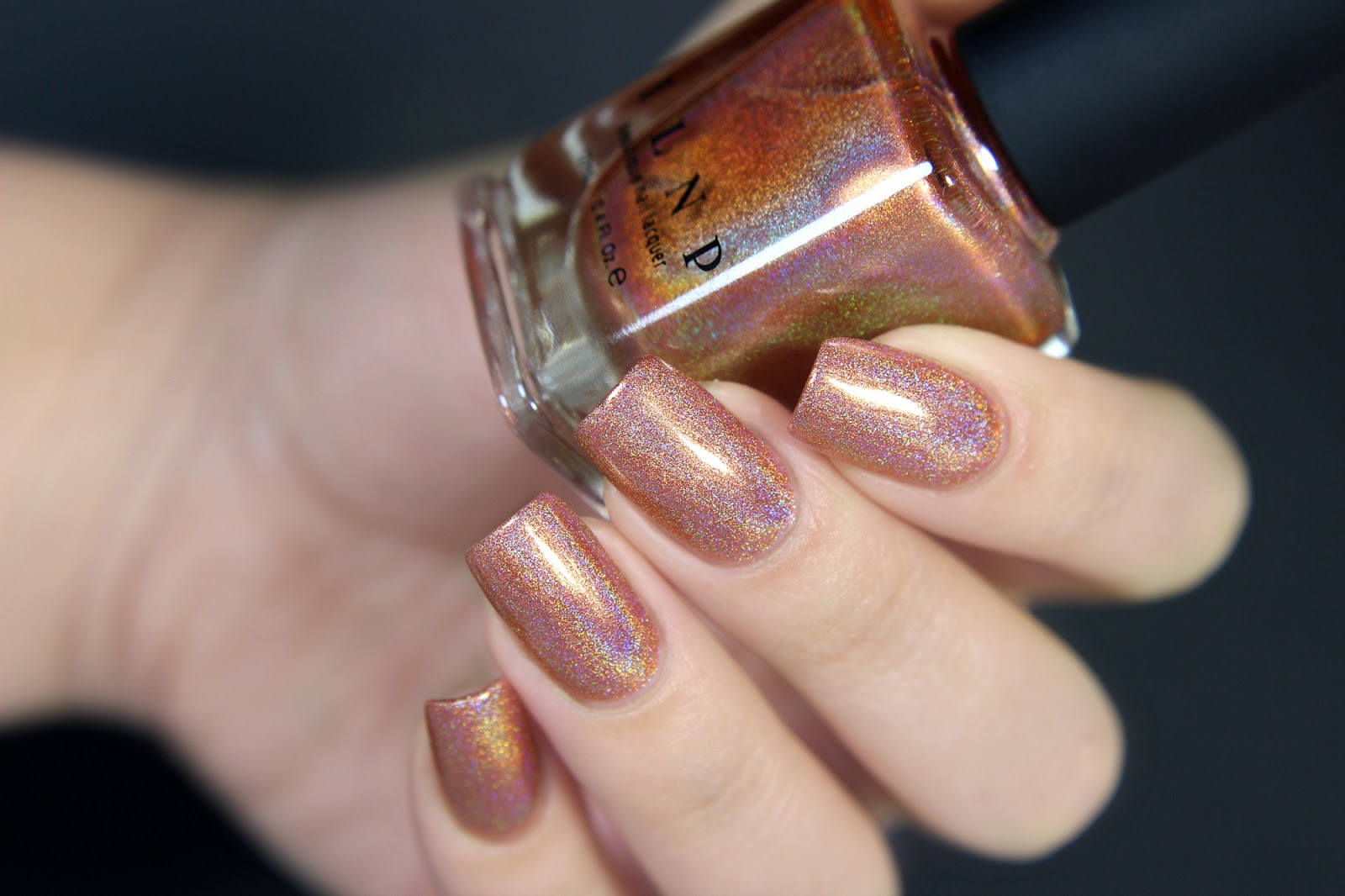 ILNP | Fall 2017 Ultra Holos ~ Glitterfingersss in english