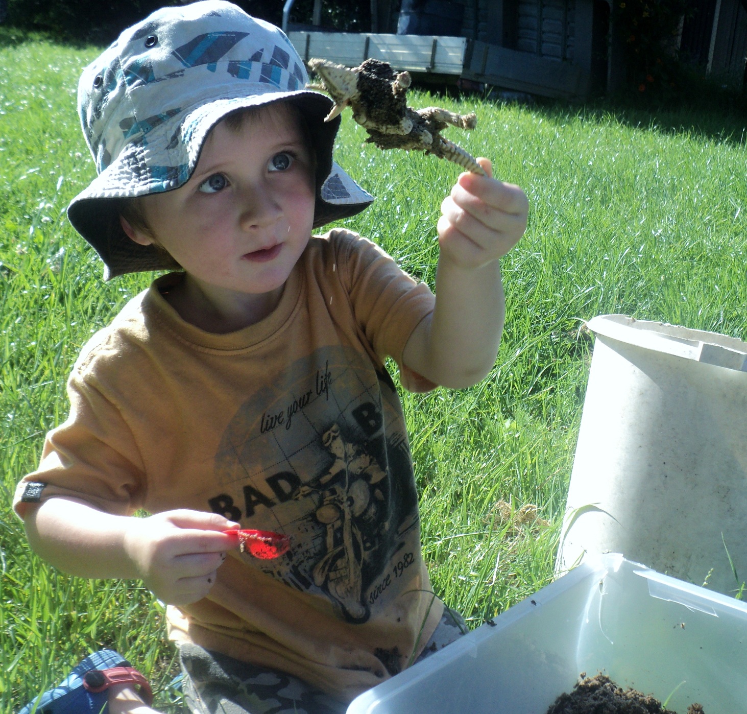 Adventures at home with Mum: Digging for Dinosaurs; 'D' activities