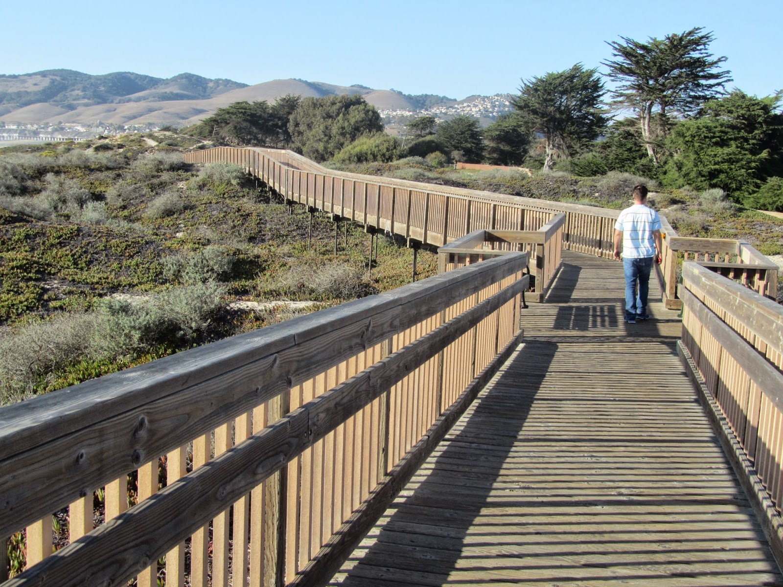 ART IN THE SUN: GROVER BEACH, CALIFORNIA