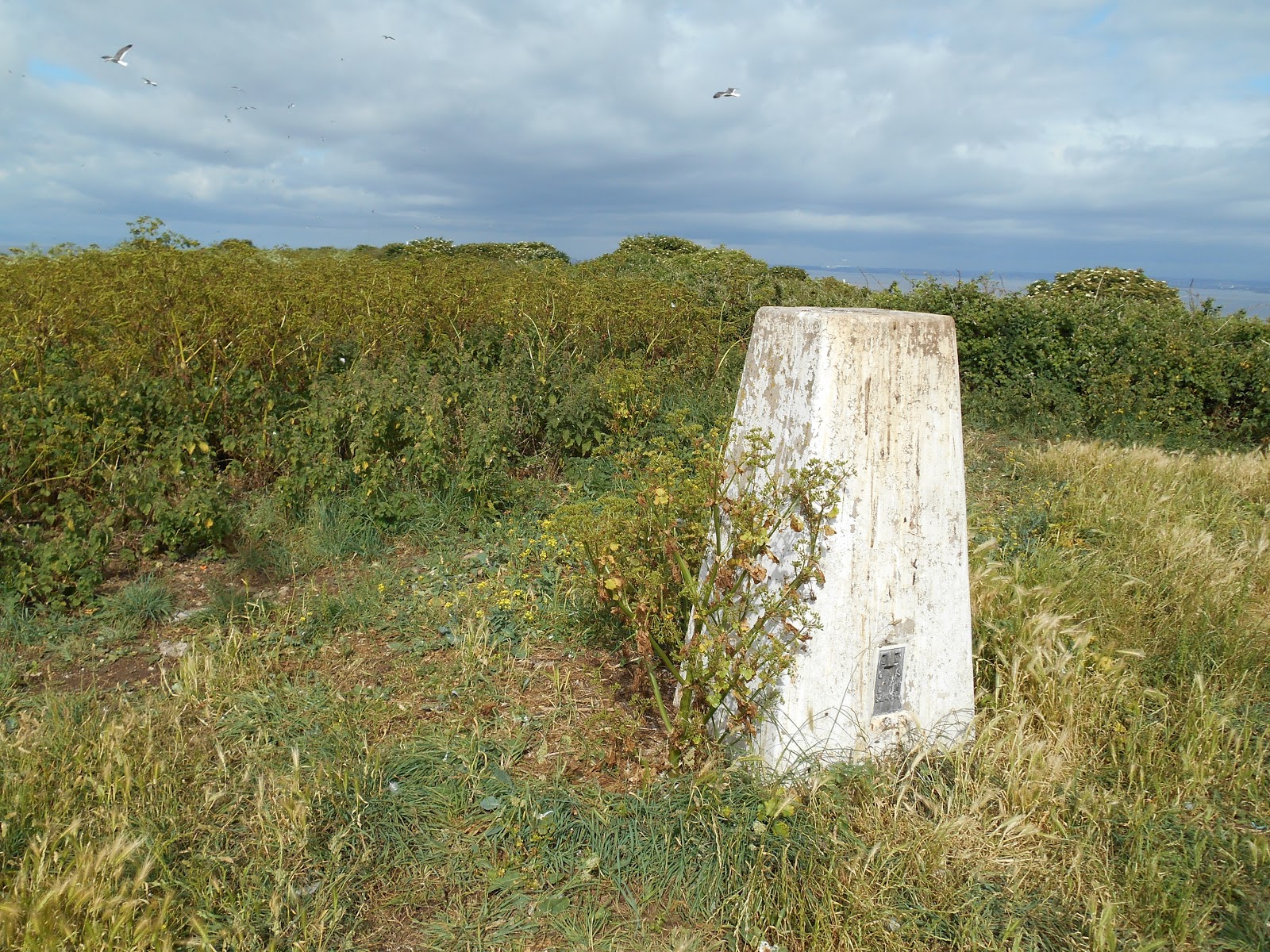 A lifetime of Islands: Island 66 - Steep Holm, Somerset