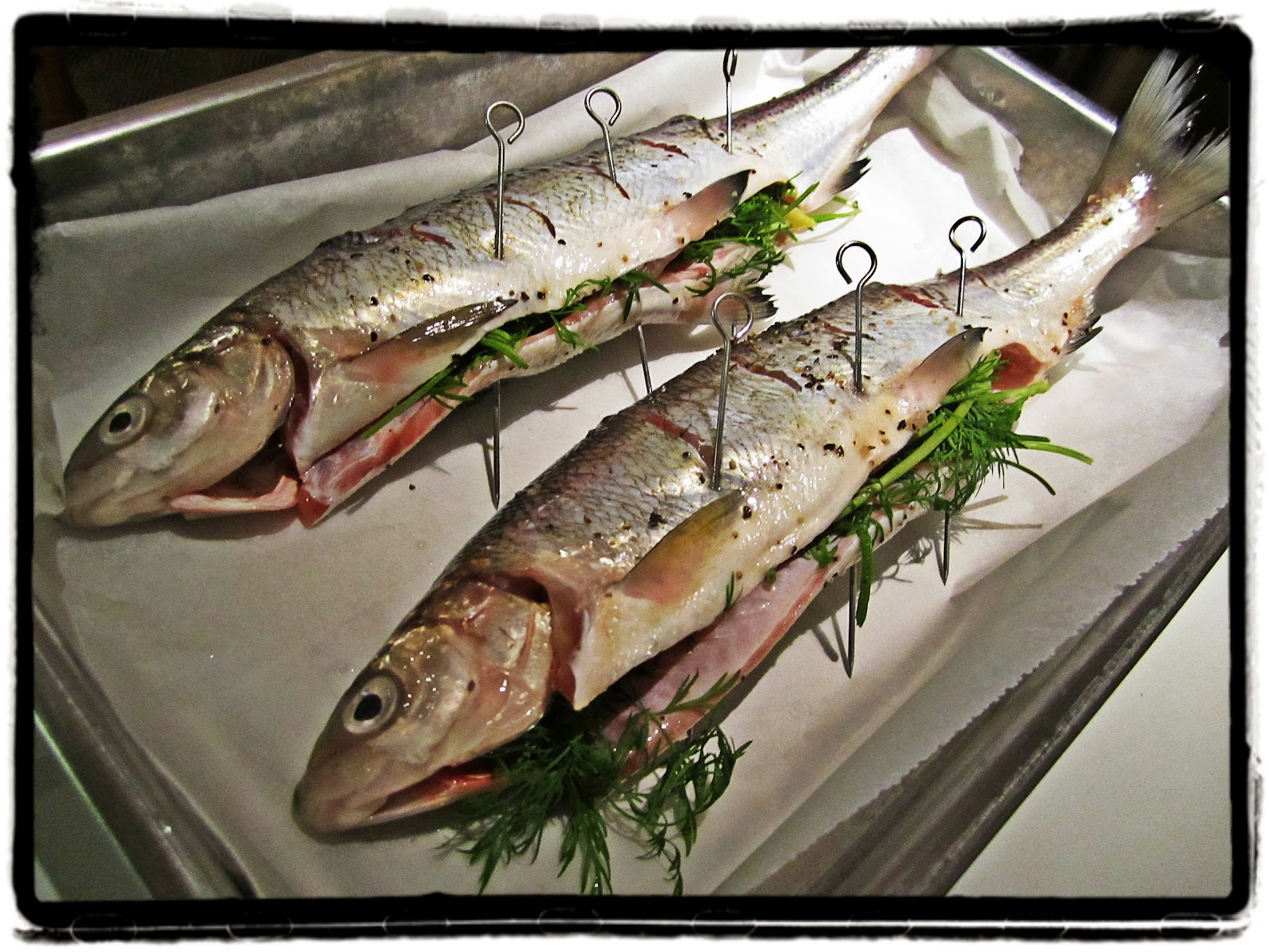 Musta mutta valkoinen: Täytetty siika, tillivoi ja sitruunaperunat