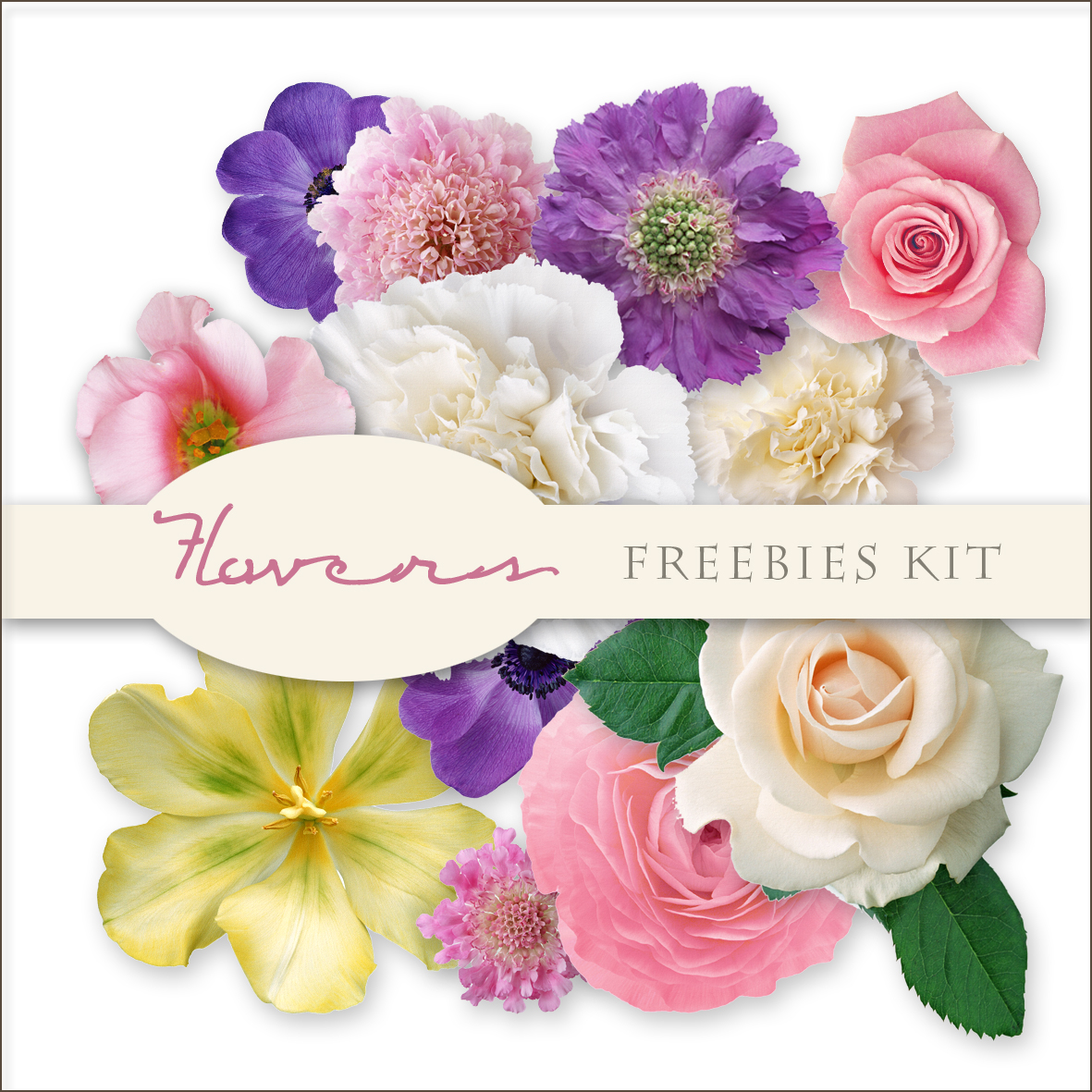 Scrap. DOT: New Freebies Kit