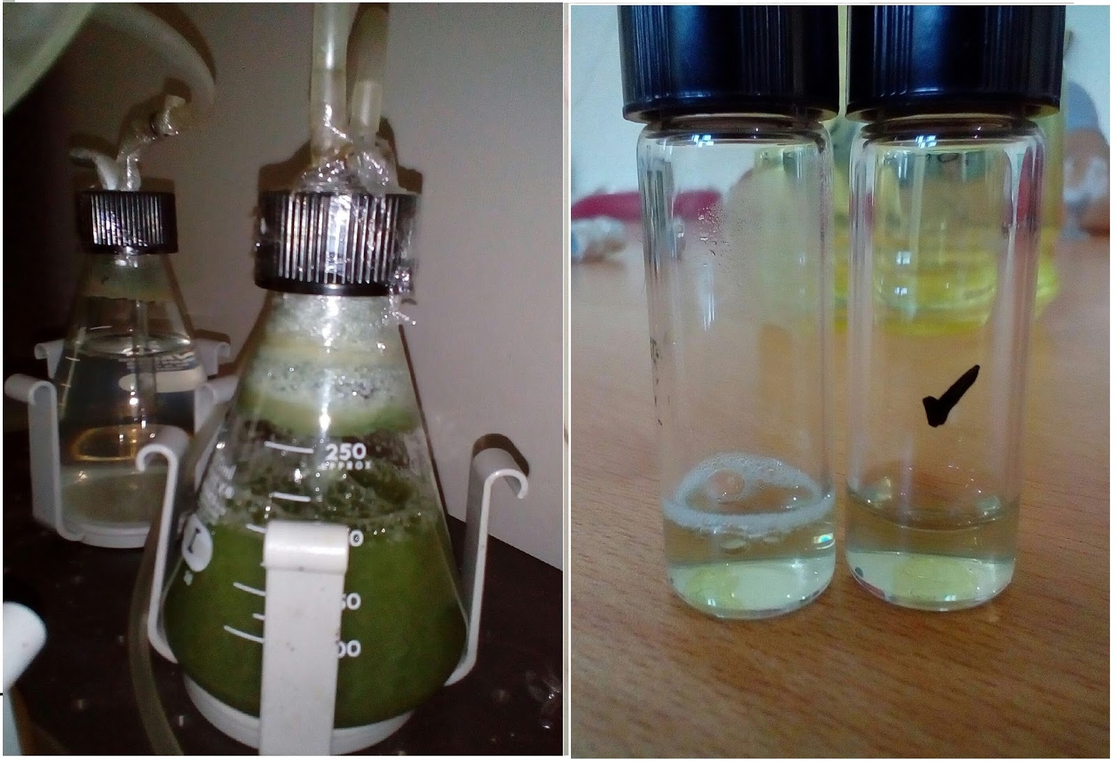 DWI NURTERTO: Perbanyakan Trichoderma sp. Dalam Media Cair dan Produksi ...