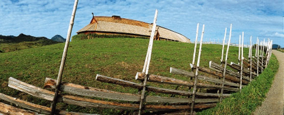 Fenja og Menja: Garder med gjerder