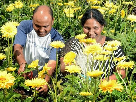 The Network: Dale Hess Calendar - 2013-10-14