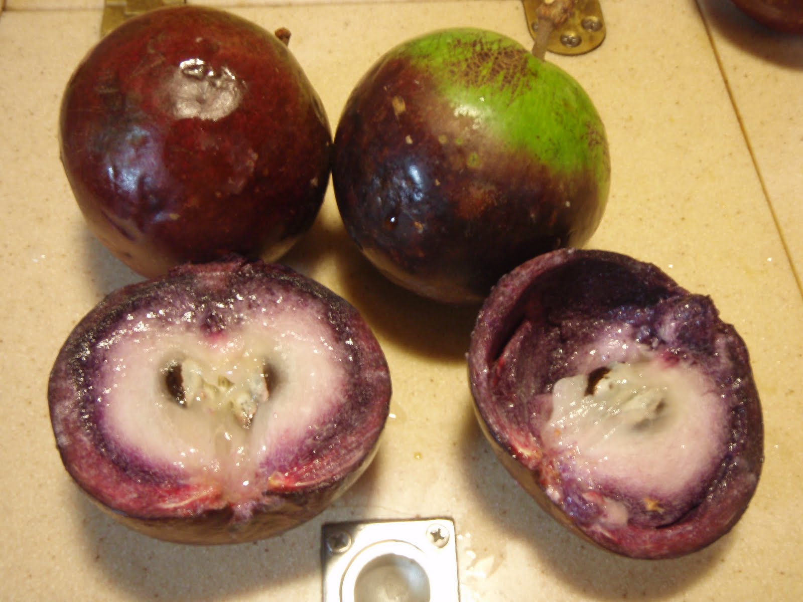 BOATBUMMS LOG: Tropical Fruits