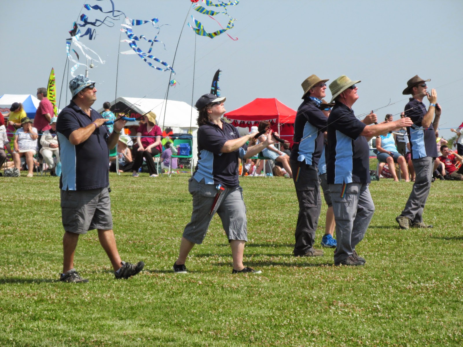 Flying Fish Kiting Team: Dunstable Kite Festival