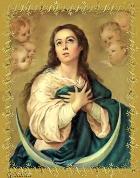 ® Gifs y Fondos Paz enla Tormenta ®: INMACULADA CONCEPCIÓN