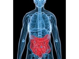 Gassy Stomach: Do-it-yourself solutions with regard to Gassy Stomach ...