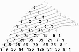 Write a program and explanation of the fibonacci series in C language ...