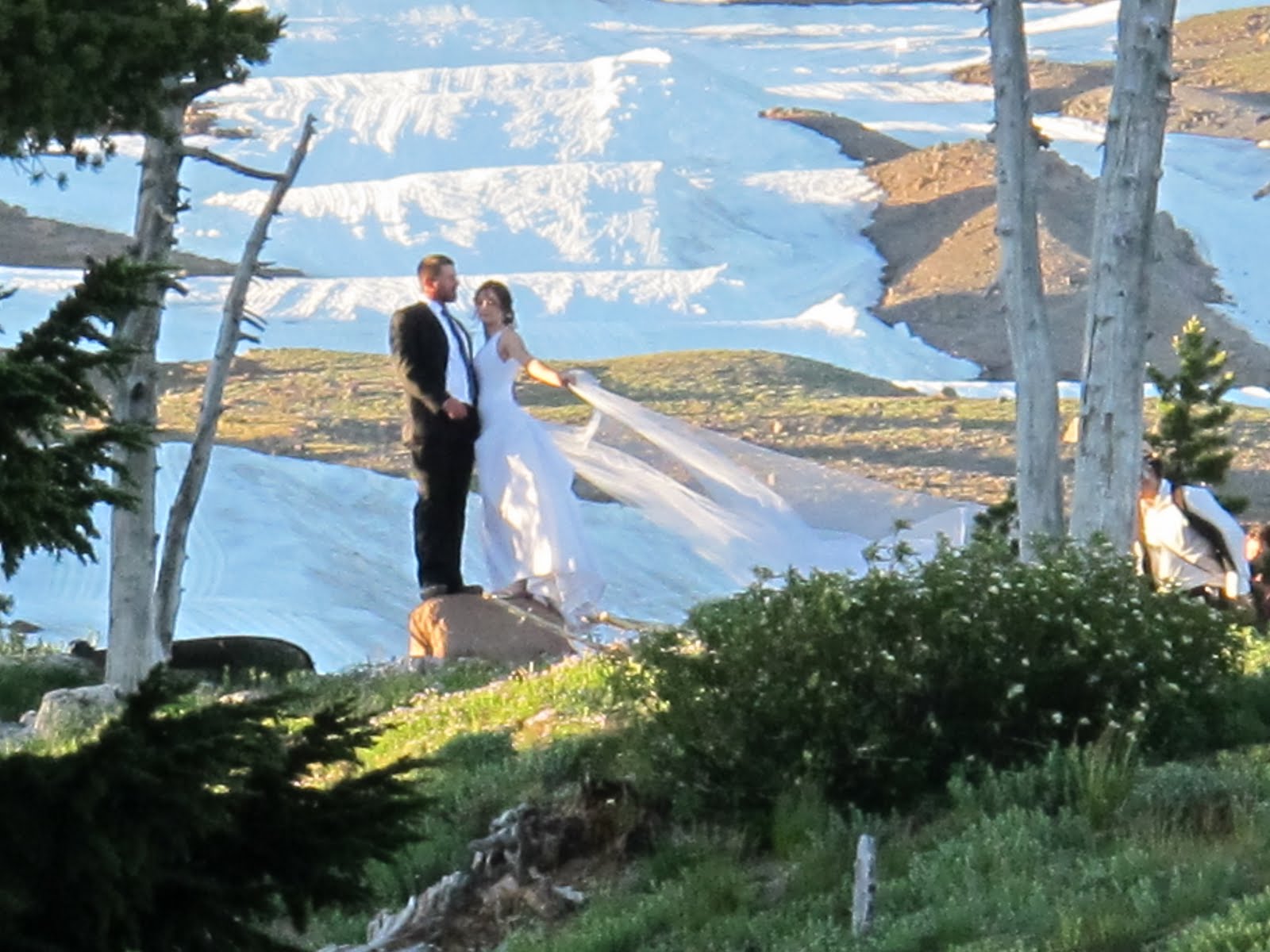 Nelda Mays Photography, Inc.: Mt. Hood, Oregon