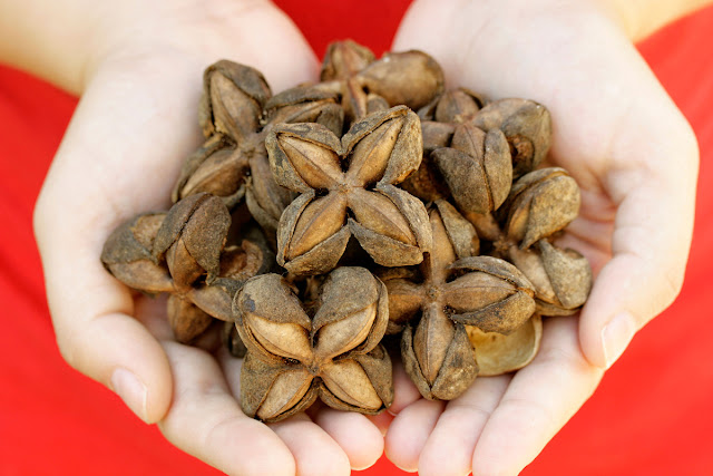 5 súper alimentos del Imperio Inca