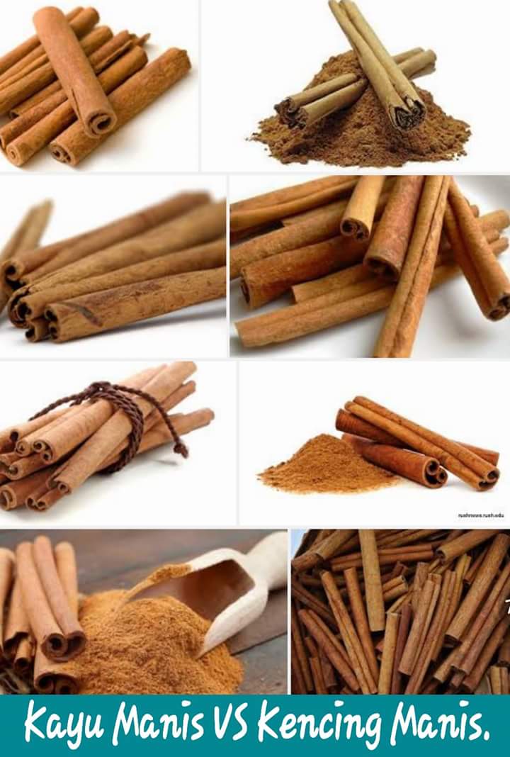 Kreasi Pikiran @Abiyansz: Manfaat Kayu Manis Bagi Penderita Diabetes