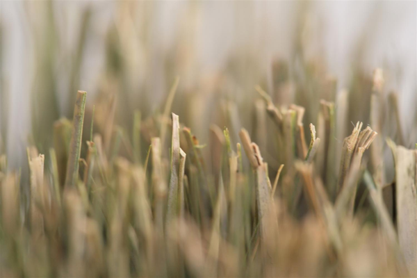 Dried Grass Textures